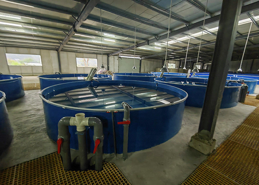Smart RAS Fish Farming System with AI Water Quality Monitoring