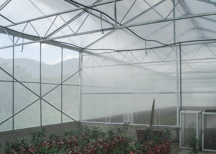Single Span PC Sheet Greenhouse with Shading System