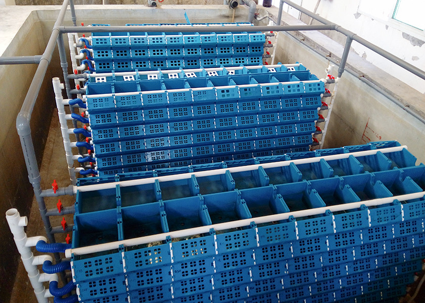 Indoor RAS Aquaculture System for Mud Crab Farming