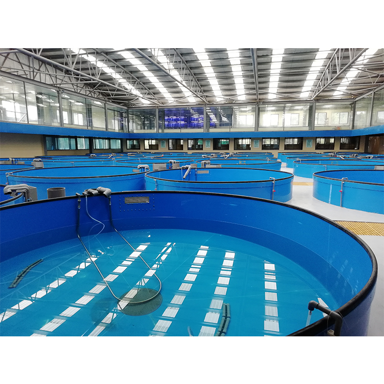 Indoor Recirculating Aquaculture System for Shrimp and Fish Farming Ras ...